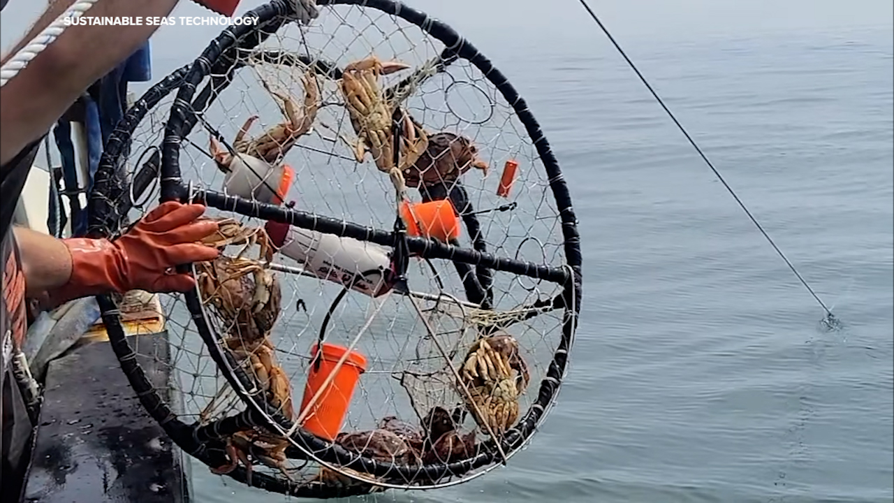 Craw Fishing Nets And Traps Foldable Fishing Shrimp Fish Crab Pot