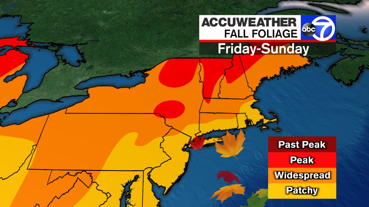 New Jersey Fall Foliage 2022