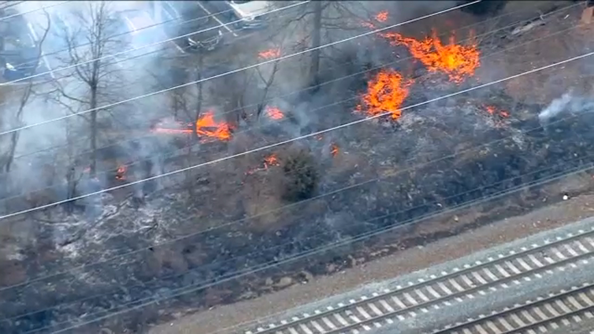 Catching Fire Train