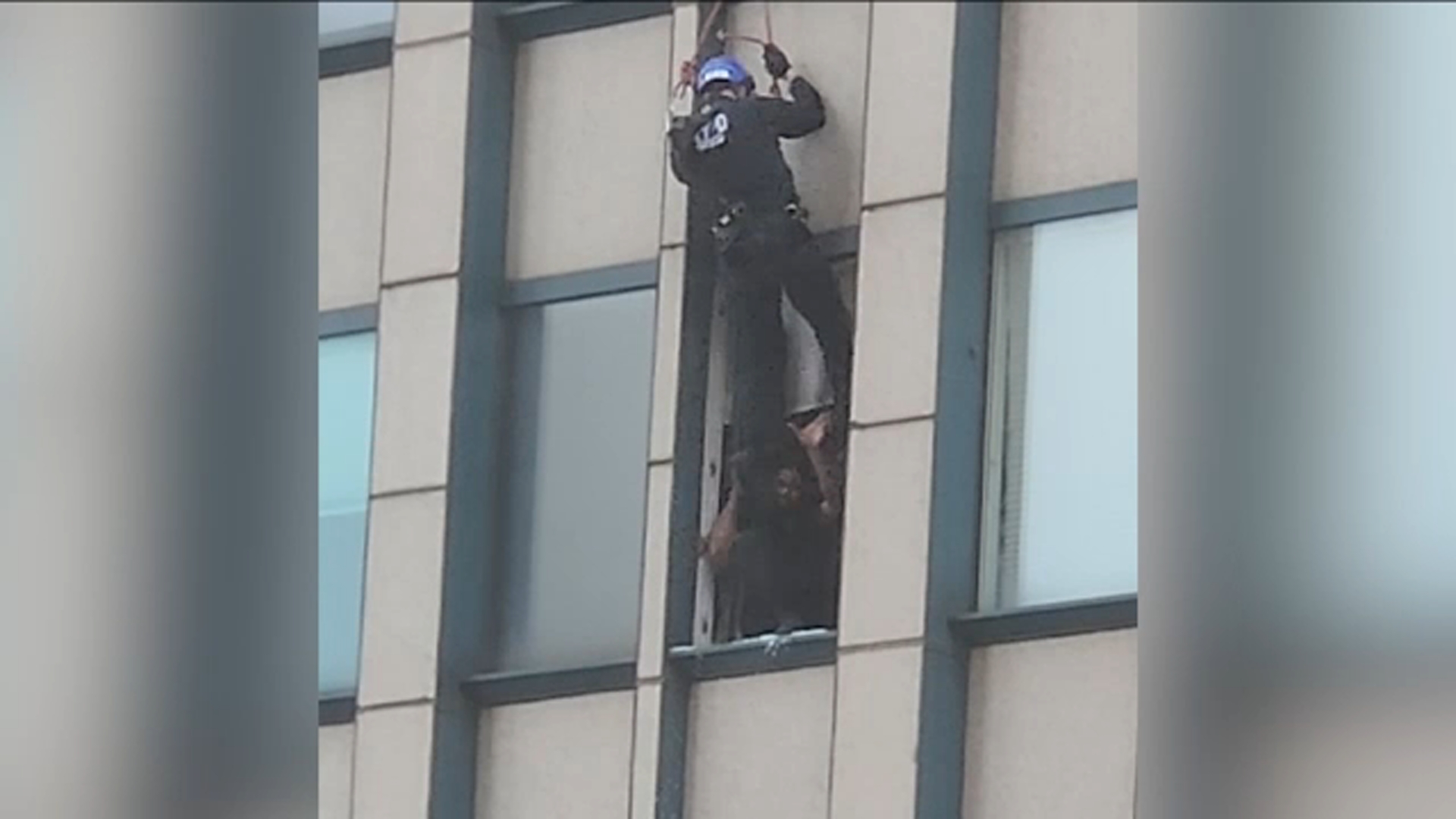 Person Jumping Off Building