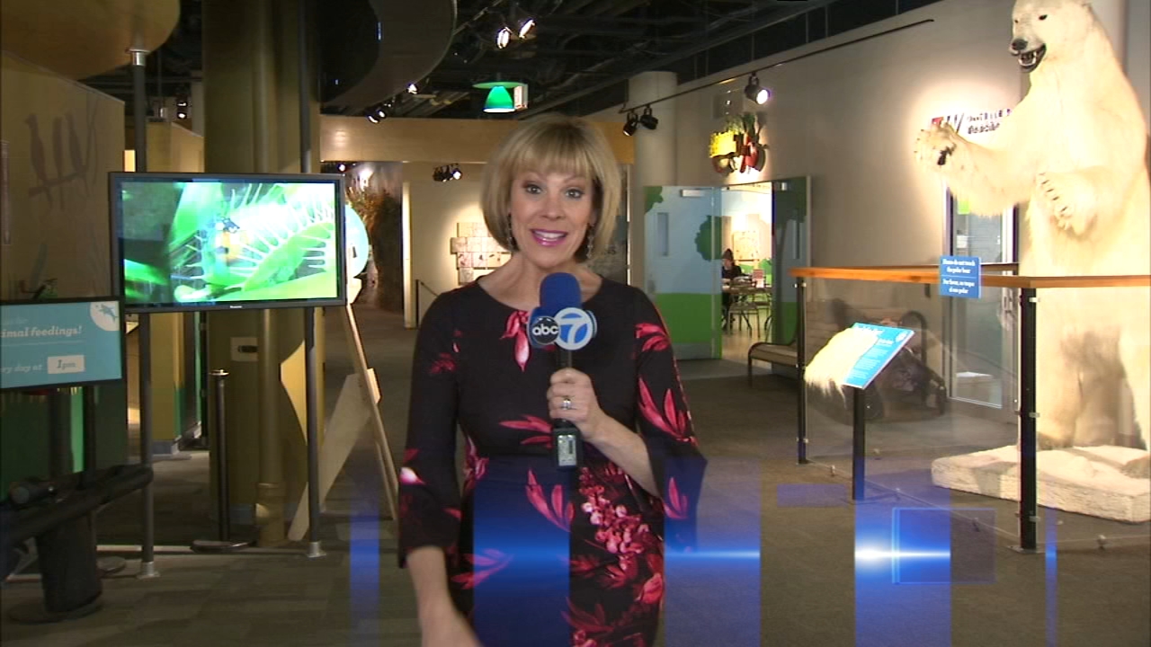 abc7chicago.com - ABC7 WLS Chicago and Chicago News